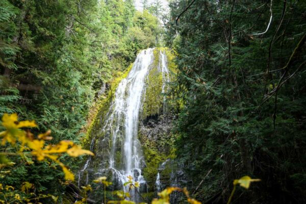 Proxy Falls Oregon Trail Guide - Go Wander Wild