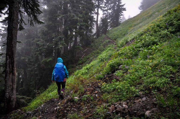 Howe Sound Crest Trail: Vancouver Trail Guide - Go Wander Wild