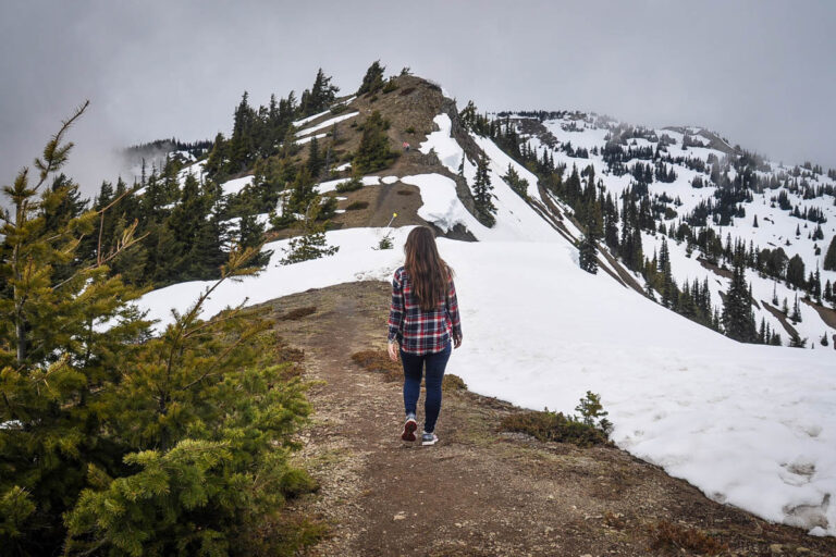 Hurricane Ridge: Hiking and Views in Olympic National Park - Go Wander Wild