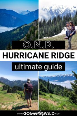 Hurricane Ridge: Hiking and Views in Olympic National Park - Go Wander Wild