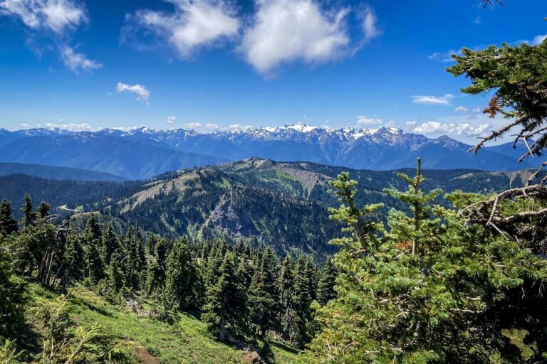 Hurricane Ridge: Hiking and Views in Olympic National Park - Go Wander Wild
