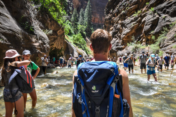 The Narrows Hike: Trail Guide for Zion National Park - Go Wander Wild
