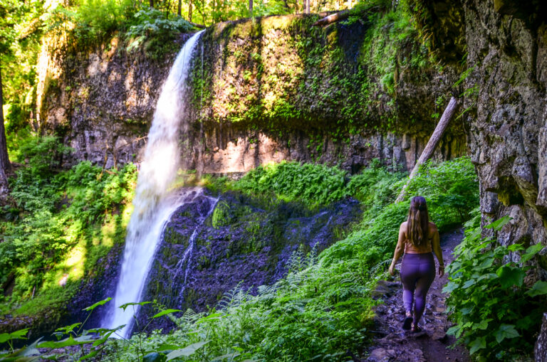 Silver Falls State Park: What to Expect + Best Hikes - Go Wander Wild