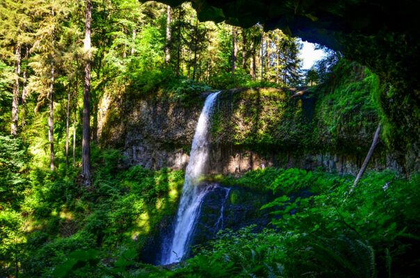 Trail of Ten Falls: Silver Falls State Park Hiking Guide - Go Wander Wild
