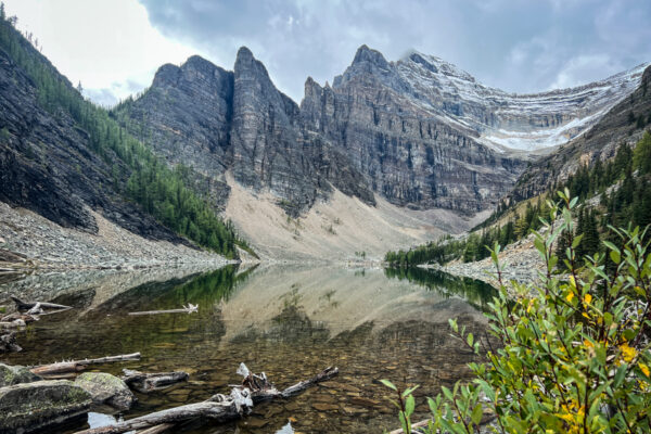 Big Beehive Hike: Banff National Park Trail Guide - Go Wander Wild