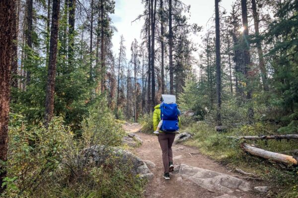 13 Easy Hikes in Jasper National Park, Canada - Go Wander Wild