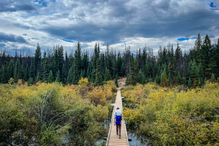 Valley of the Five Lakes: Jasper National Park Trail Guide - Go Wander Wild