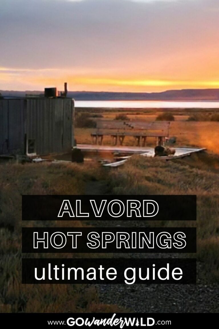 Alvord Hot Springs: How to Get There & What to Expect - Go Wander Wild