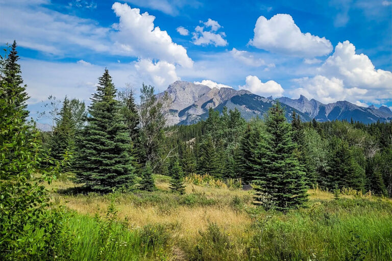 15 Easy Hikes in Banff National Park for Beginners - Go Wander Wild