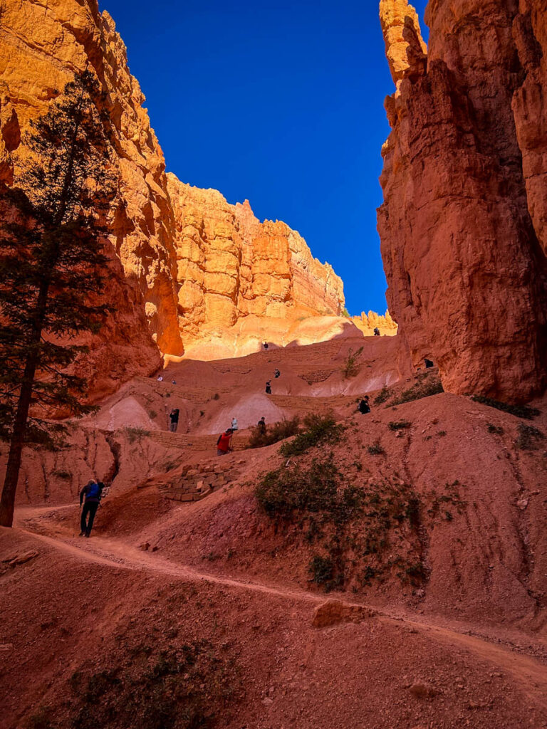 Navajo Loop Trail: Bryce Canyon National Park Trail Guide - Go Wander Wild
