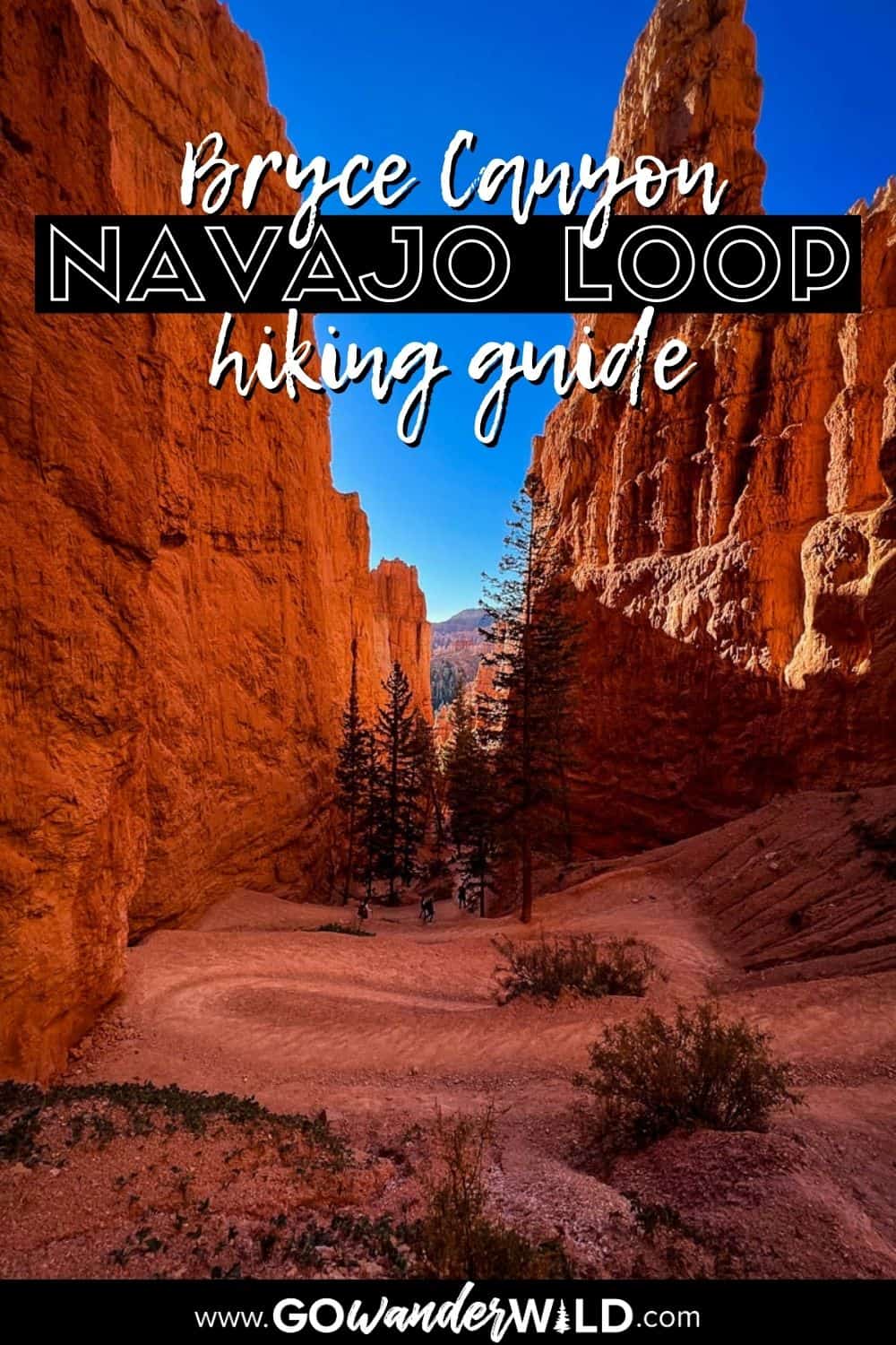 Navajo Loop Trail: Bryce Canyon National Park Trail Guide - Go Wander Wild