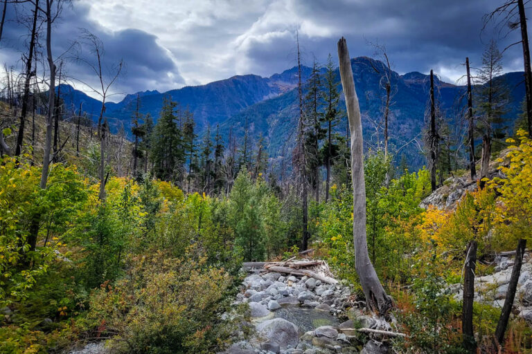 15 Stunning Hikes in North Cascades National Park - Go Wander Wild