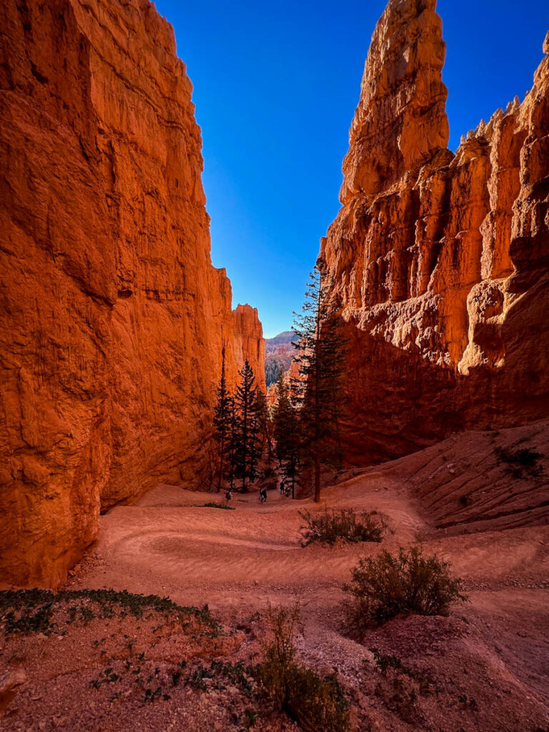 Navajo Loop Trail: Bryce Canyon National Park Trail Guide - Go Wander Wild