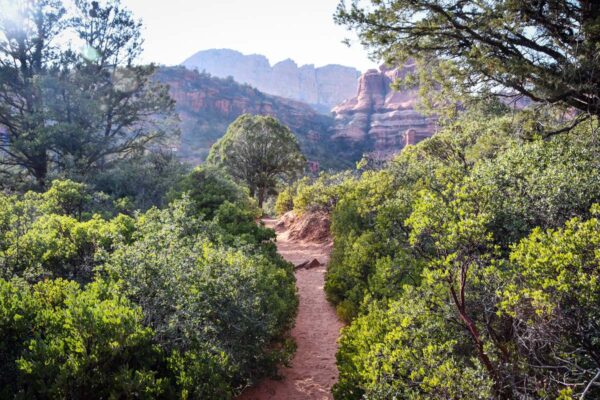 Boynton Canyon Trail & Subway Cave: Sedona Hiking Guide - Go Wander Wild