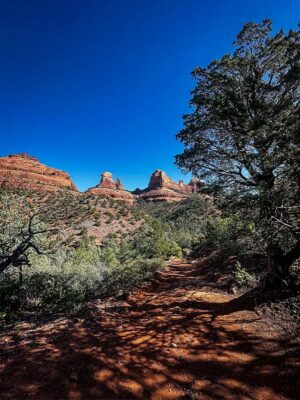 15 Best Hikes in Sedona, Arizona for All Levels - Go Wander Wild