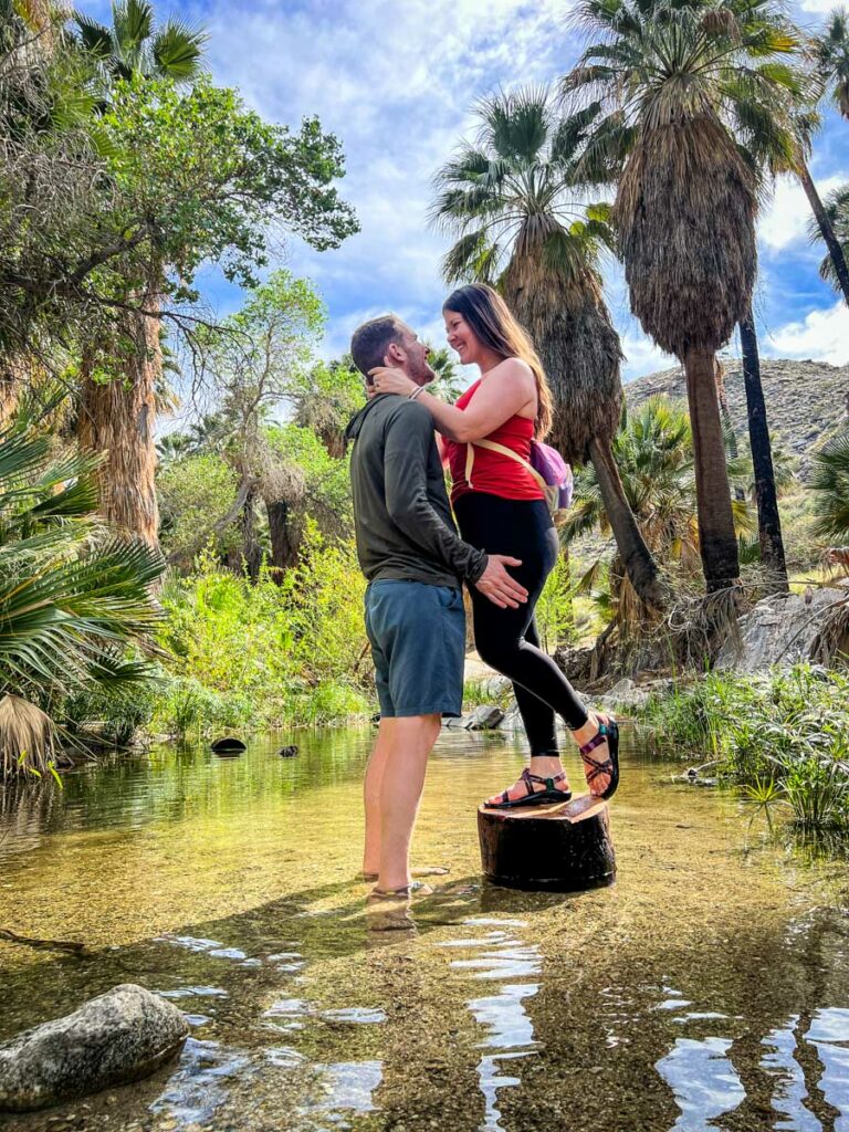 Murray Canyon Trail to Seven Falls: Palm Springs Hiking Guide - Go ...