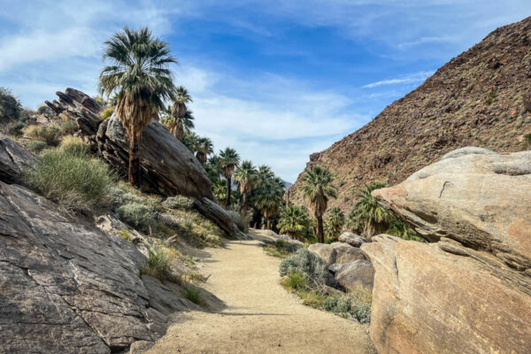 Indian Canyons: Palm Springs Hiking Guide - Go Wander Wild