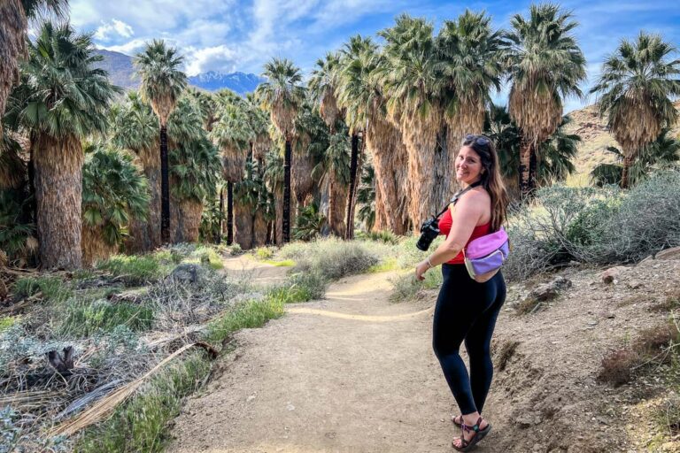 Indian Canyons: Palm Springs Hiking Guide - Go Wander Wild