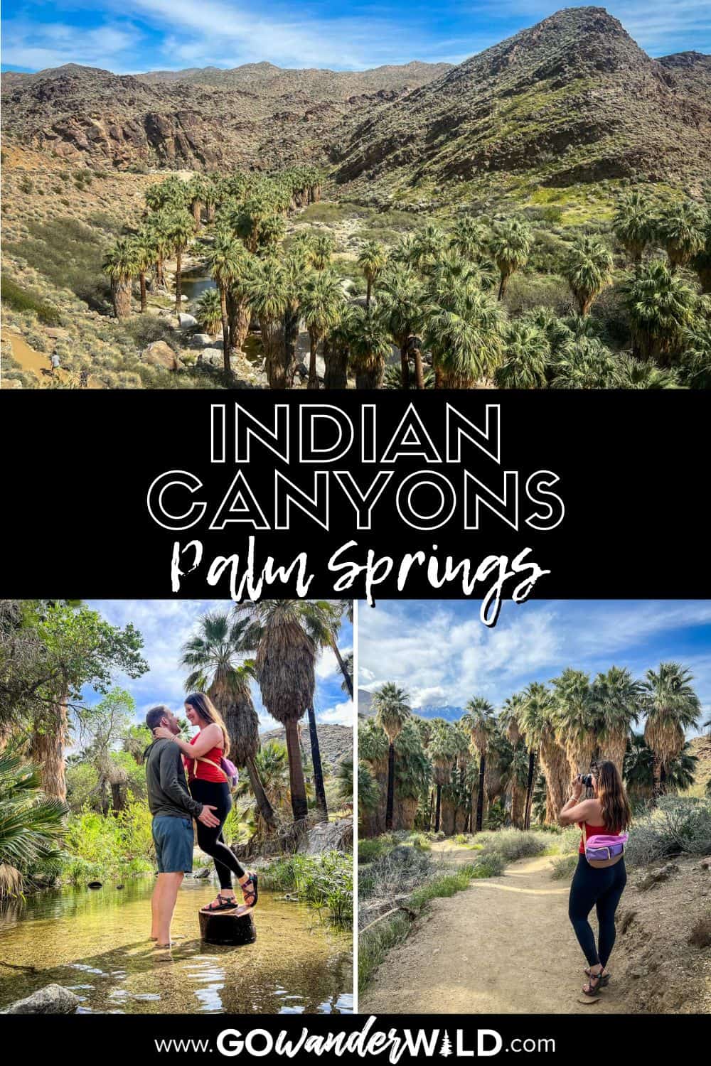 Indian Canyons: Palm Springs Hiking Guide - Go Wander Wild