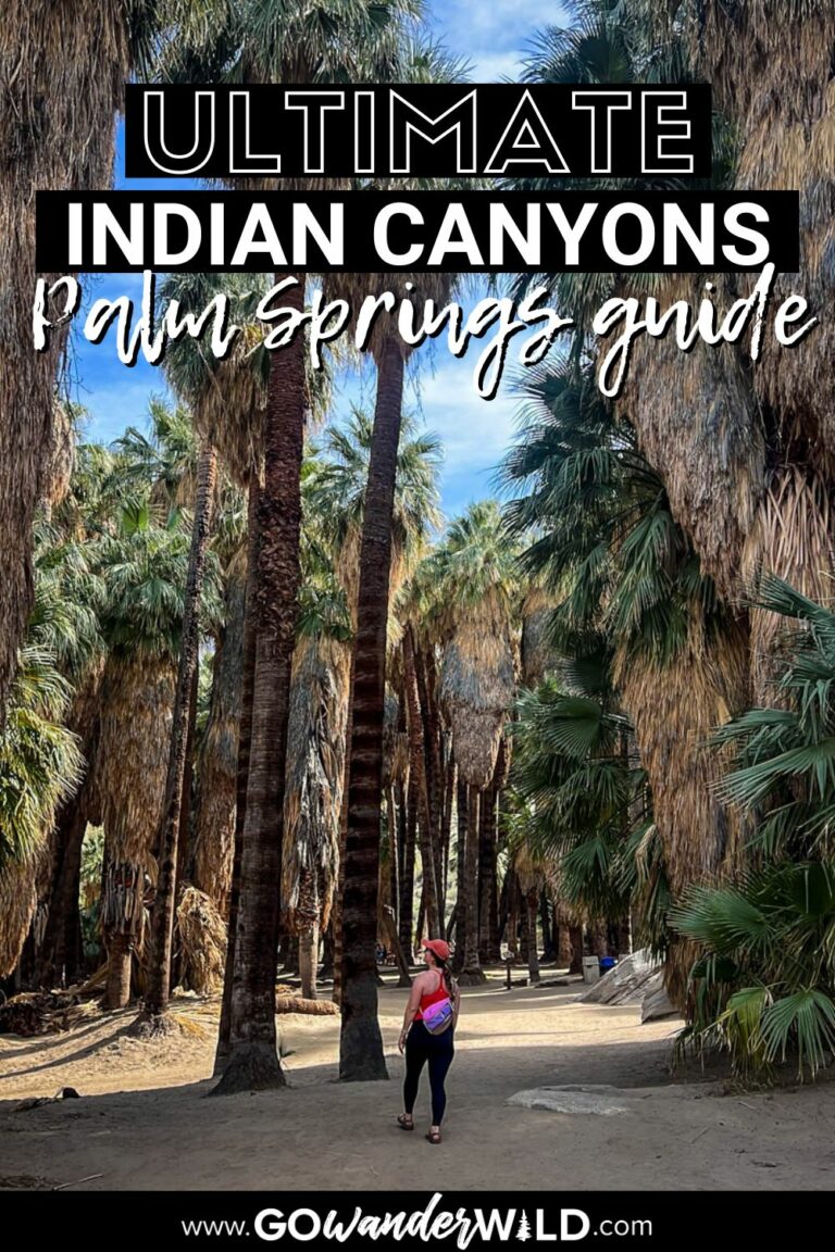 Indian Canyons: Palm Springs Hiking Guide - Go Wander Wild