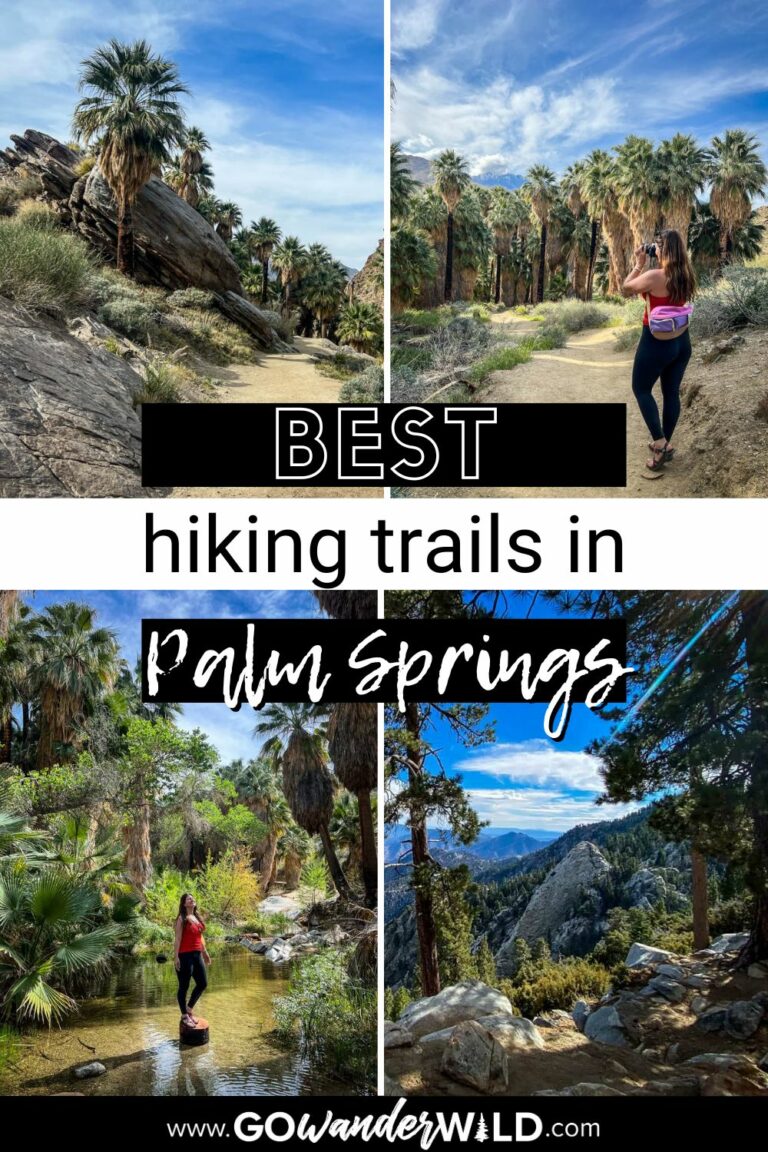 15 Best Palm Springs Hikes for Your Bucket List - Go Wander Wild