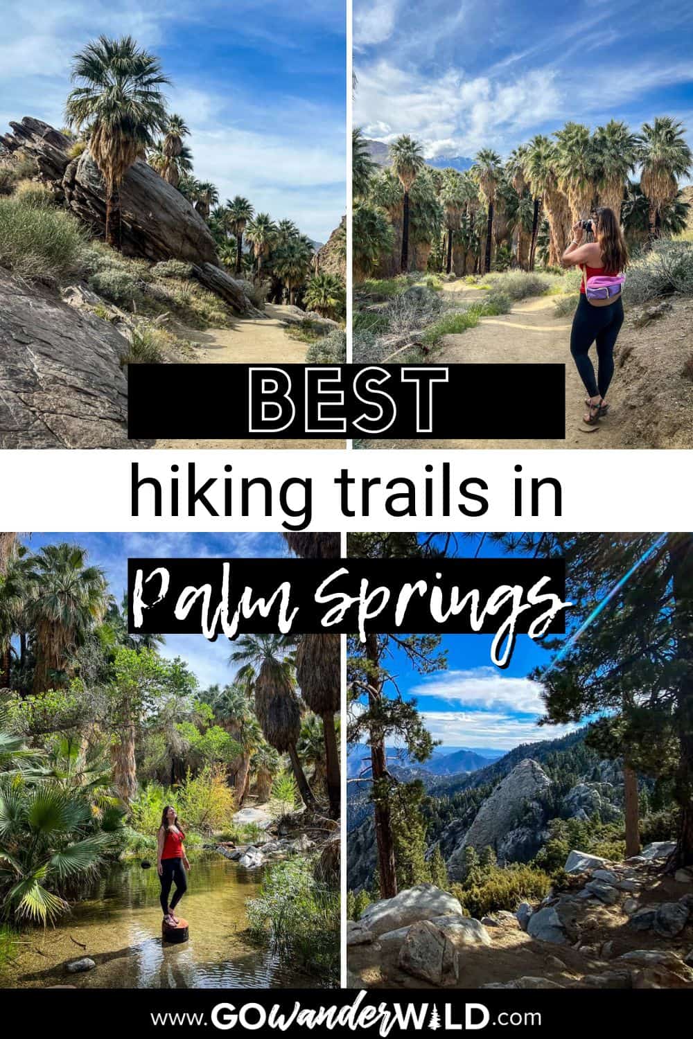 15 Best Palm Springs Hikes for Your Bucket List - Go Wander Wild