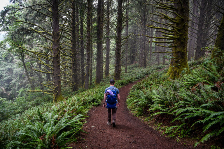 50 Best Hikes in Oregon (for every ability level!) - Go Wander Wild