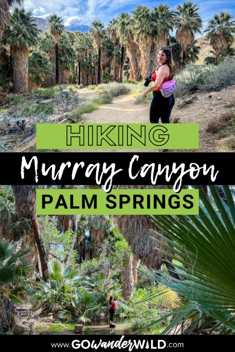Murray Canyon Trail to Seven Falls: Palm Springs Hiking Guide - Go ...