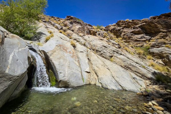 Murray Canyon Trail to Seven Falls: Palm Springs Hiking Guide - Go Wander Wild
