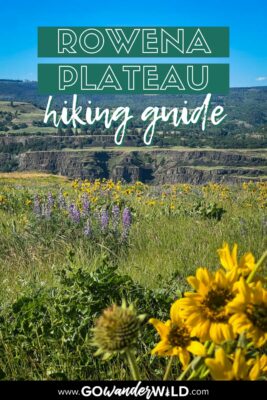 Rowena Plateau Trail: Oregon Hiking Guide - Go Wander Wild