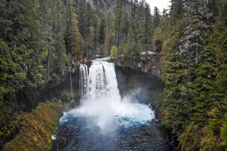 Sahalie and Koosah Falls: Oregon Trail Guide - Go Wander Wild