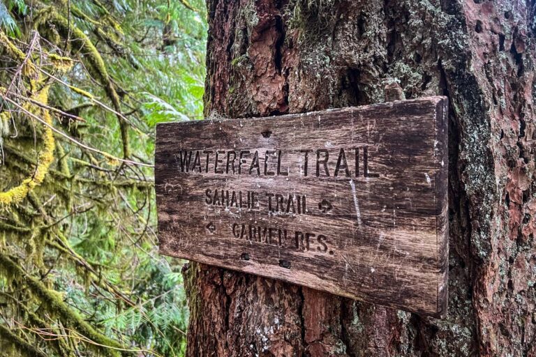 Sahalie and Koosah Falls: Oregon Trail Guide - Go Wander Wild