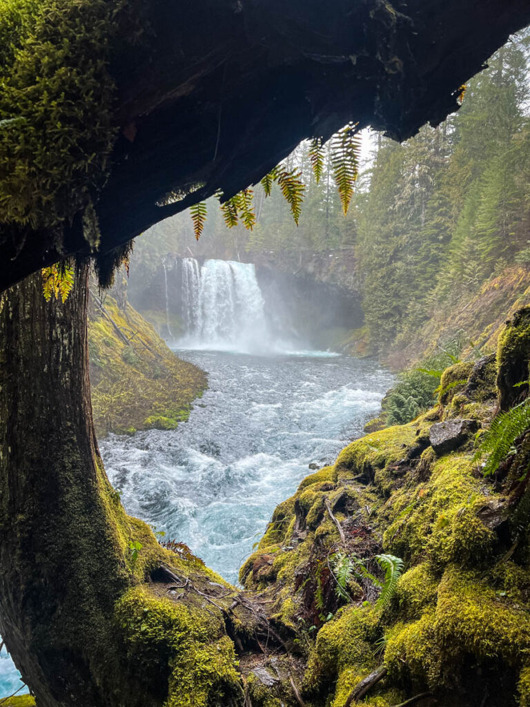 Sahalie and Koosah Falls: Oregon Trail Guide - Go Wander Wild