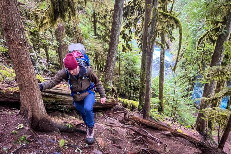 Sahalie and Koosah Falls: Oregon Trail Guide - Go Wander Wild