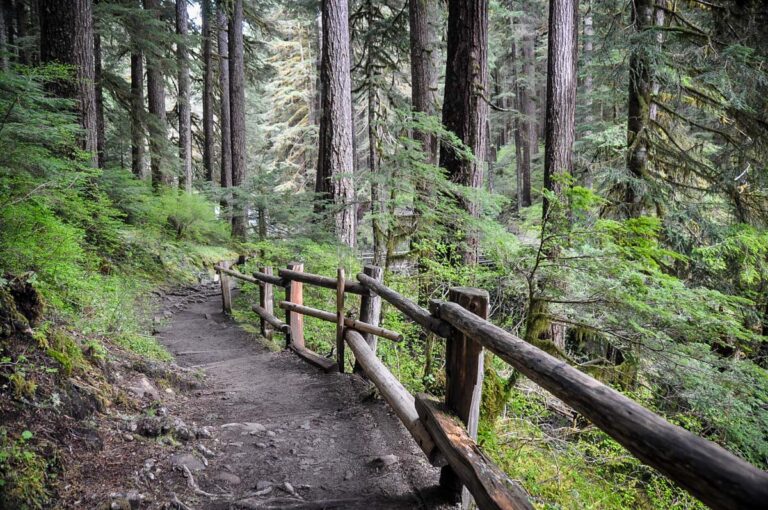 Sol Duc Falls: Olympic National Park Trail Guide - Go Wander Wild