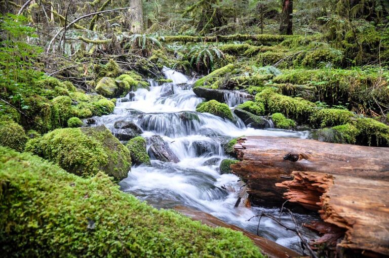 Sol Duc Falls: Olympic National Park Trail Guide - Go Wander Wild