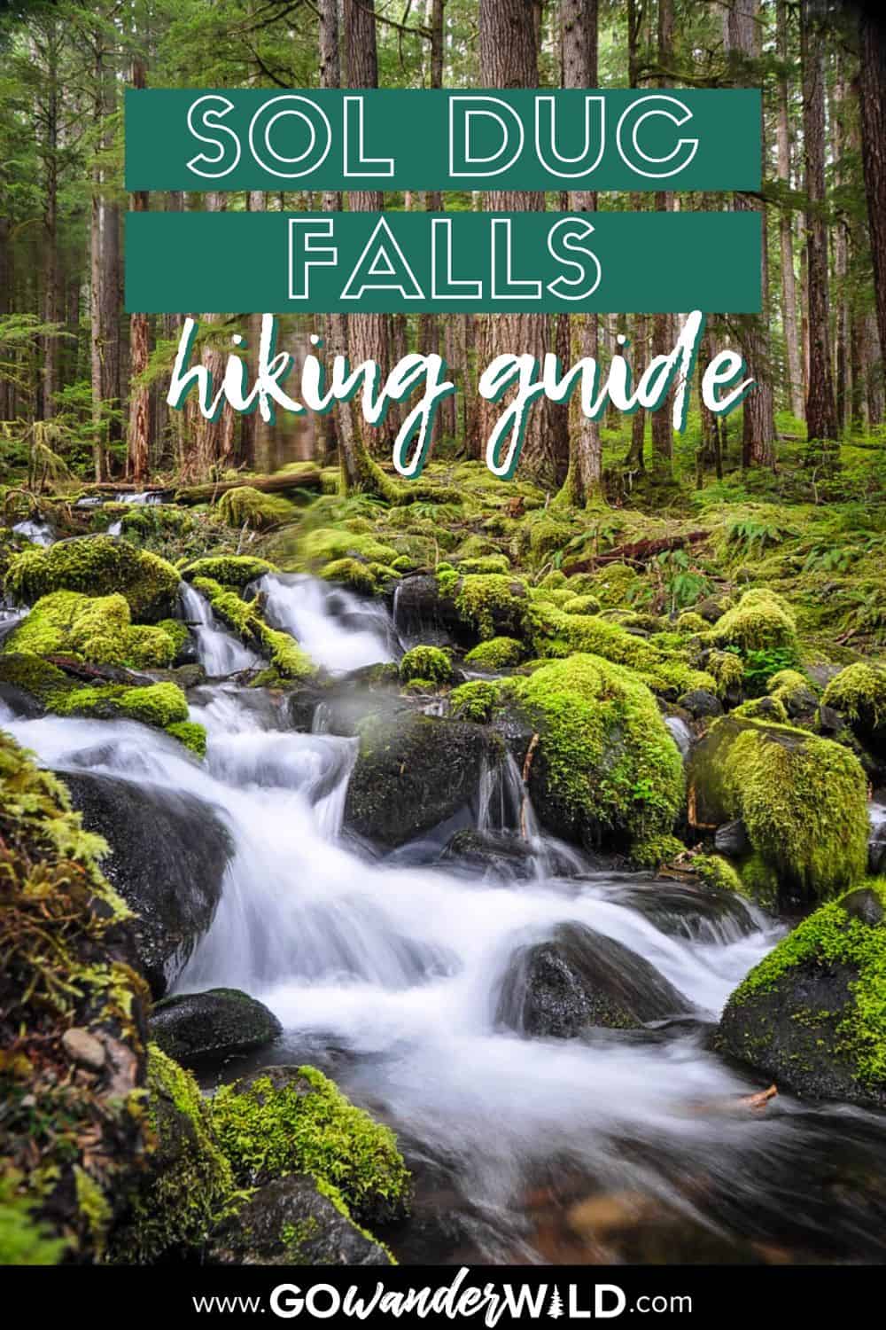 Sol Duc Falls: Olympic National Park Trail Guide - Go Wander Wild