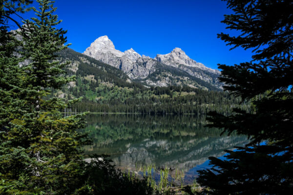 Taggart Lake Trail: Grand Teton National Park Hiking Guide - Go Wander Wild