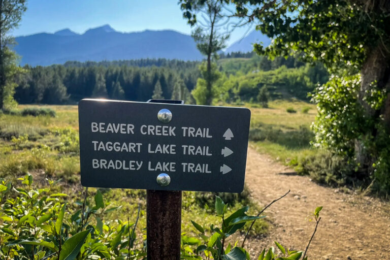 Taggart Lake Trail: Grand Teton National Park Hiking Guide - Go Wander Wild