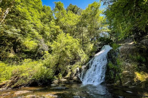15 Best Eugene Oregon Hikes for All Levels! - Go Wander Wild