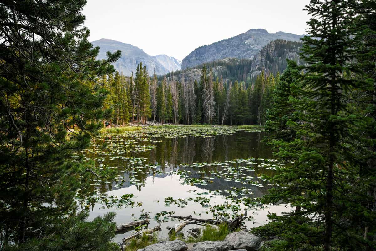 Emerald Lake Trail: Rocky Mountain National Park Trail Guide - Go ...