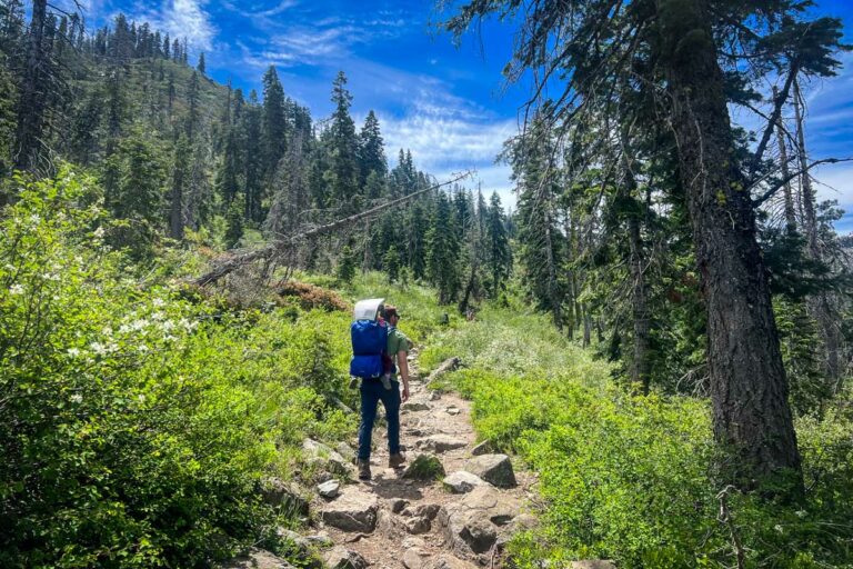 Heart Lake Trail: California Hiking Guide - Go Wander Wild