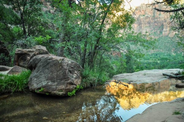 15 Easy Hikes in Zion National Park - Go Wander Wild