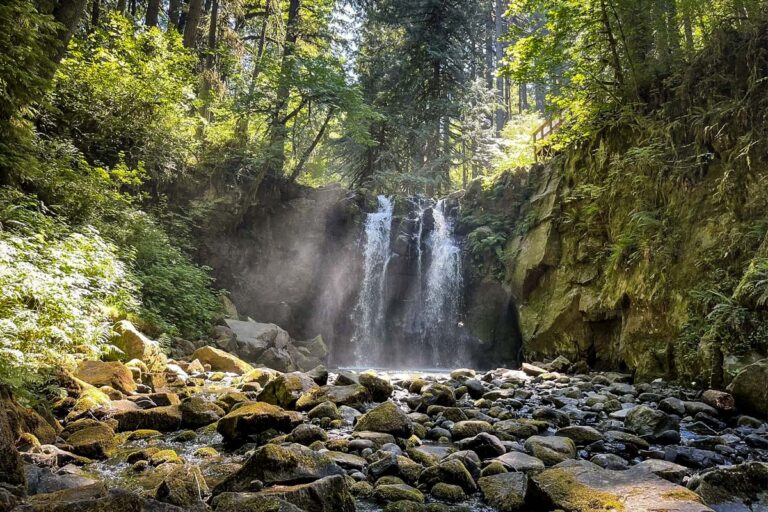 15 Best Eugene Oregon Hikes for All Levels! - Go Wander Wild