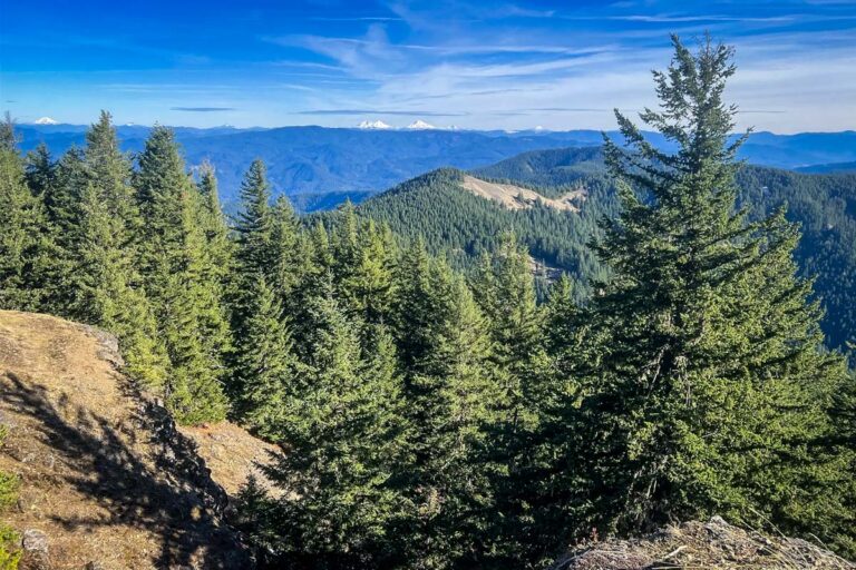 15 Best Eugene Oregon Hikes for All Levels! - Go Wander Wild