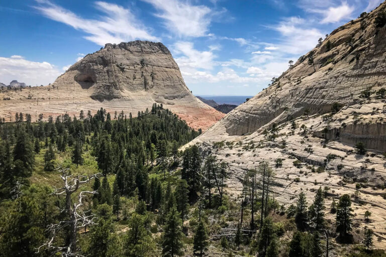15 Easy Hikes in Zion National Park - Go Wander Wild