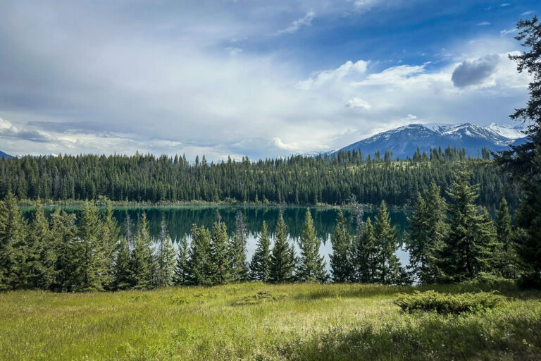 13 Easy Hikes in Jasper National Park, Canada - Go Wander Wild