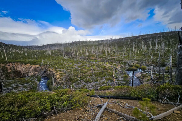 Chush Falls: Ultimate Oregon Trail Guide - Go Wander Wild