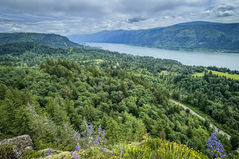21 Fantastic Columbia River Gorge Hikes - Go Wander Wild