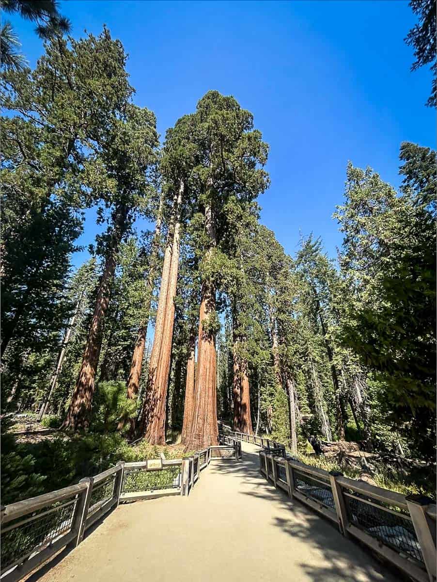 21 Best Hikes in Yosemite National Park - Go Wander Wild